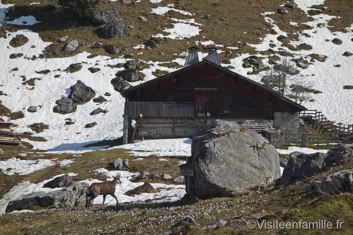 Les Confins | Visite en famille