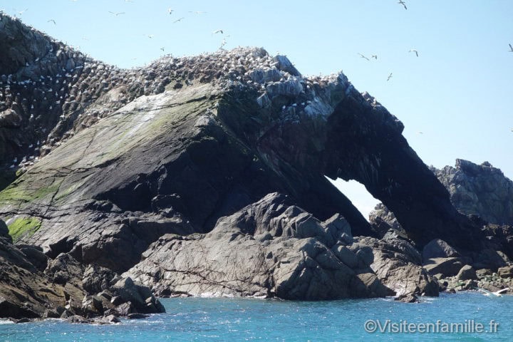 Les 7 îles près de Perros-Guirec, un sanctuaire pour les oiseaux marins ...